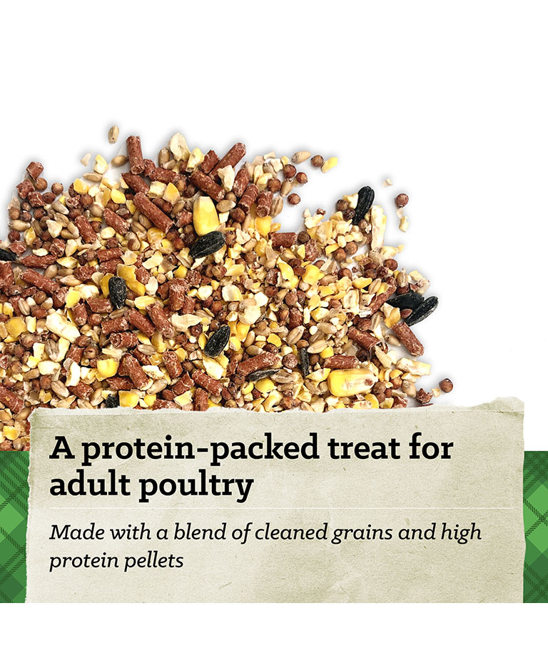 Nutrena Hi Pro | Poultry Scratch Feed | Chicken