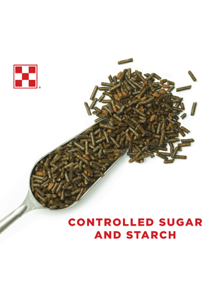 Purina Strategy Healthy Edge Horse Feed