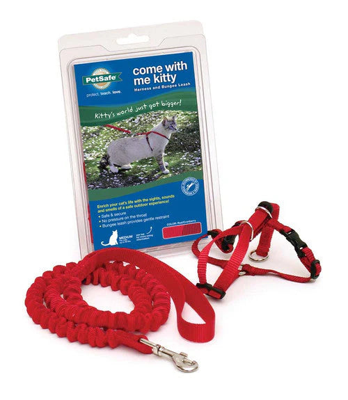 Premier Easy Walk Deluxe Harness Lg Blue | Free* NJ Local Delivery ...