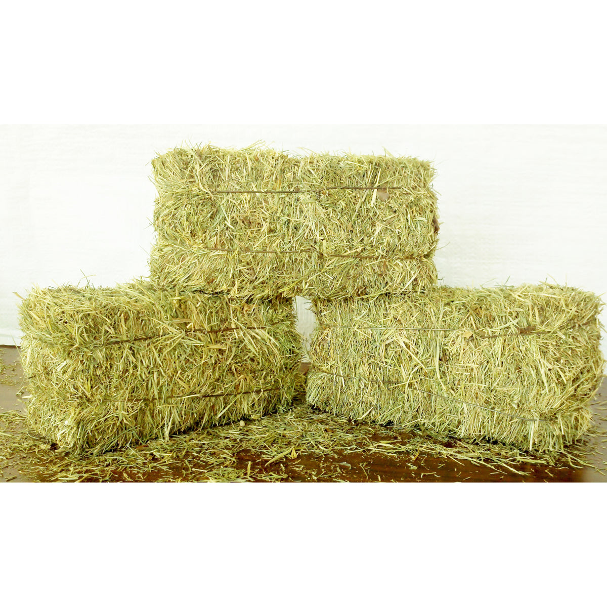 Hay | TheHungryPuppy.com