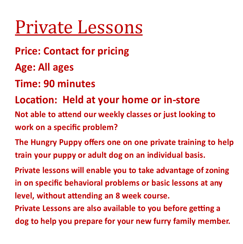 Private Training Lessons