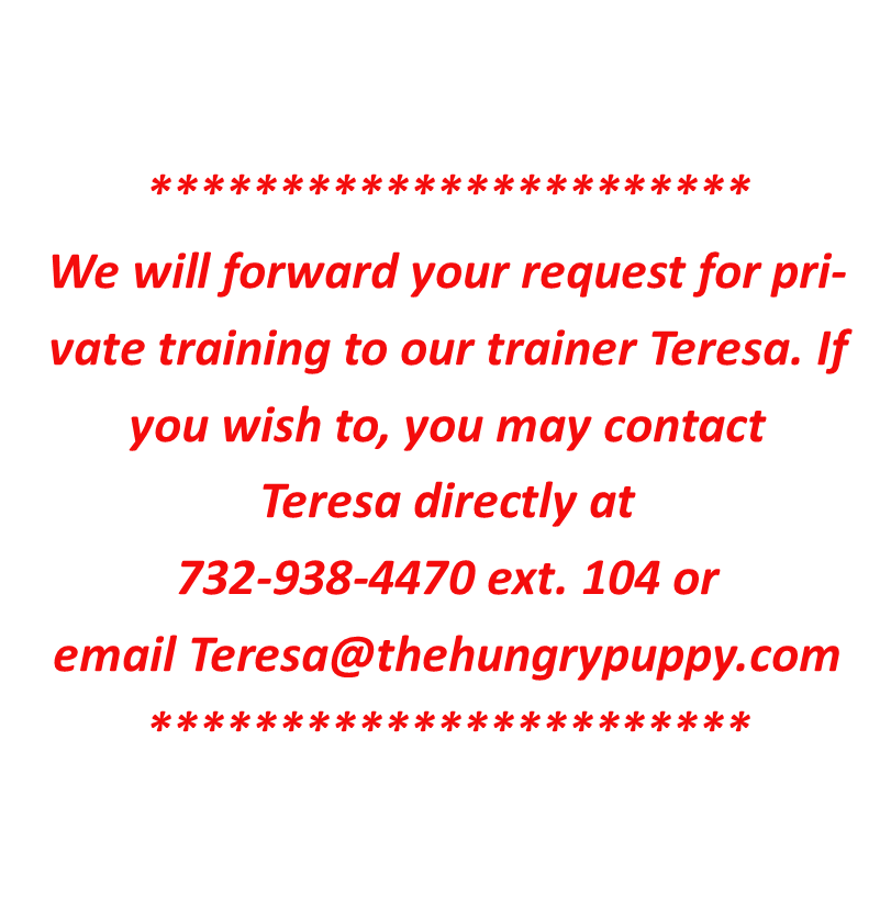 Private Training Lessons